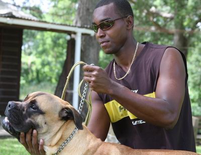 Rodney - Dogs In Barbados