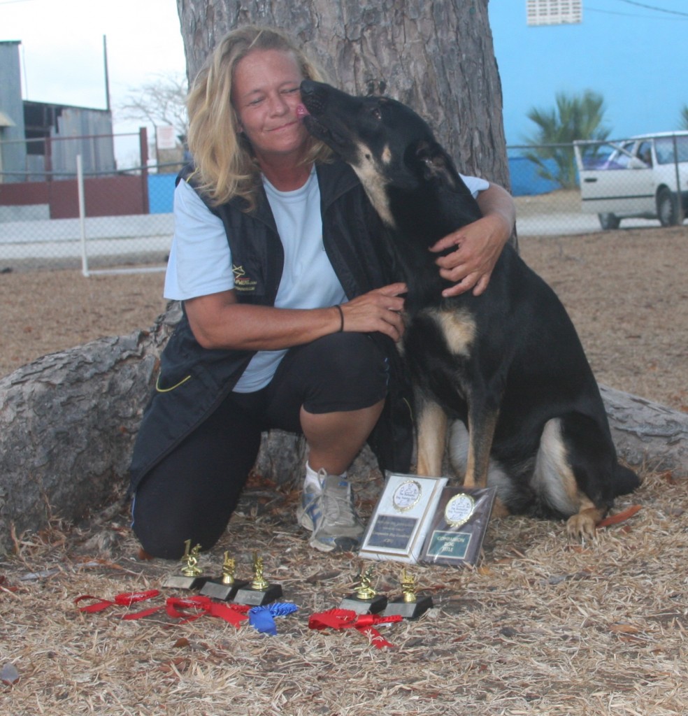 Dog training in Barbados beyond the basic sit, down, come and stays ...